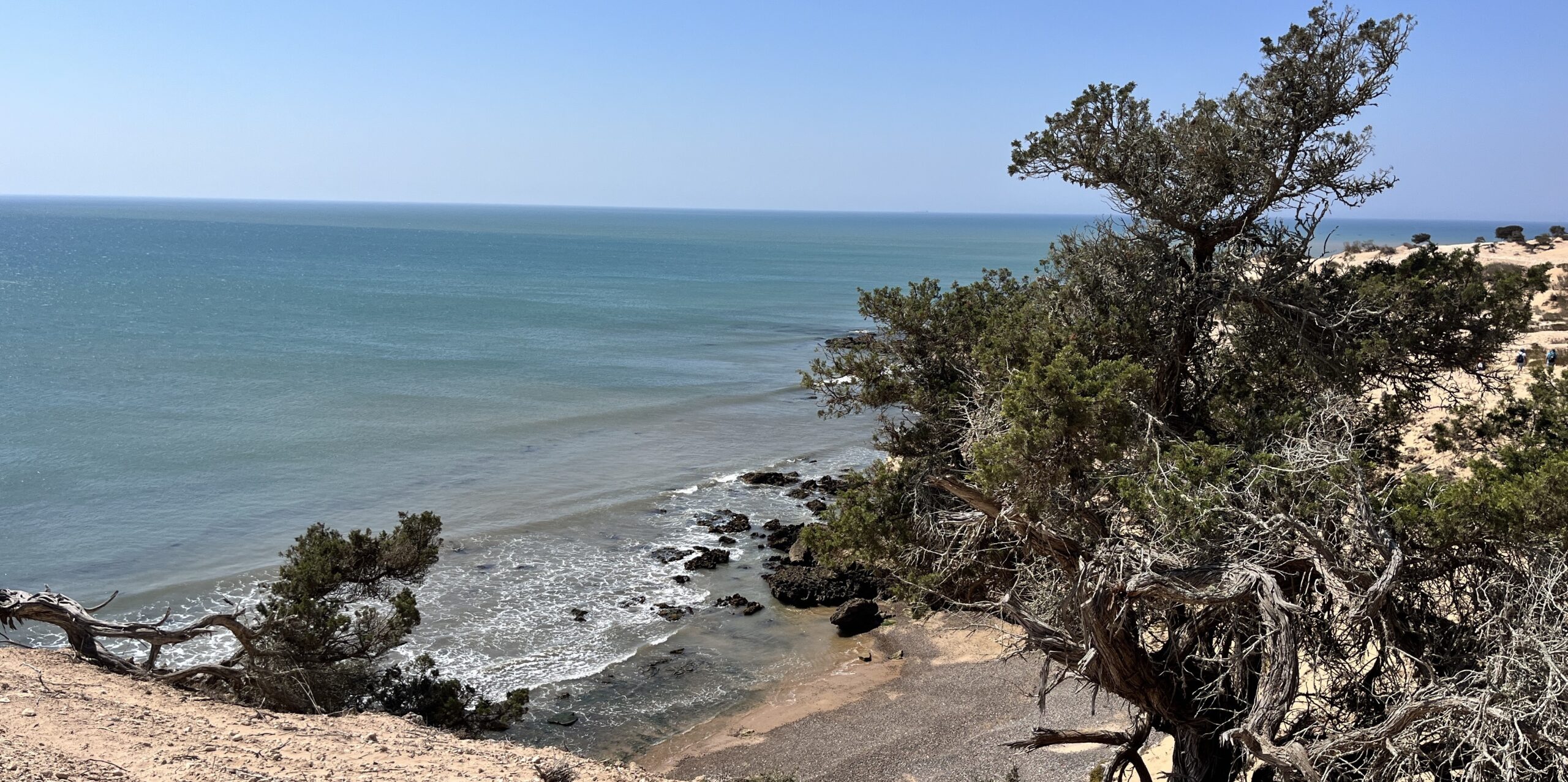 Cap Sim Essaouira : randonnée, surf et nature sauvage- VIVRE ESSAOUIRA
